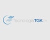 Tecnologia TGK | Branding + Web design | Fabi Paolini